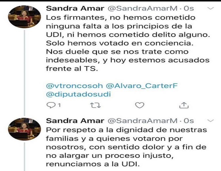 SANDRA AMAR DIPUTADA DE MAGALLANES ANUNCIA SU SALIDA DE LA UDI ...