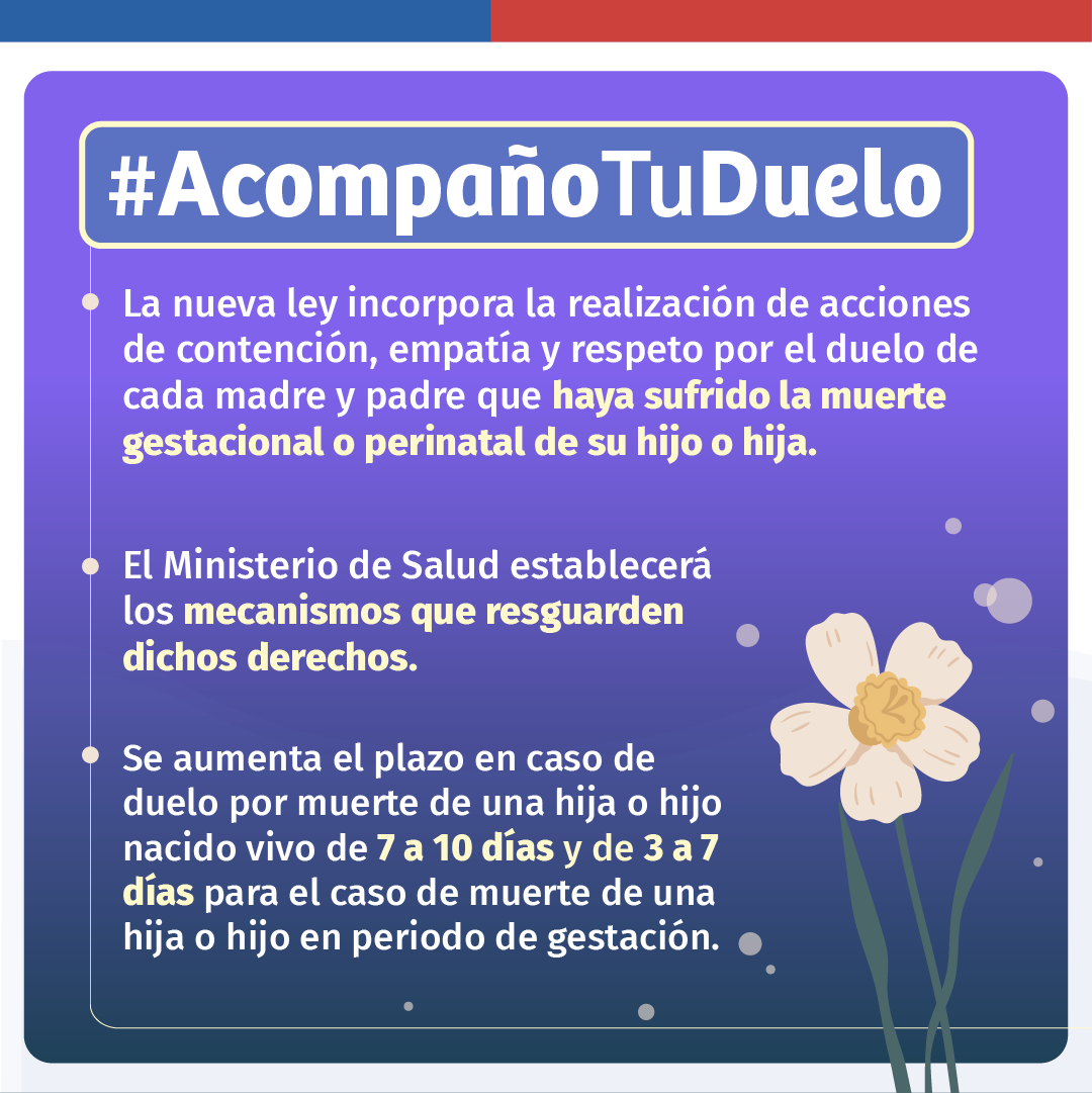 FUE PROMULGADA LEY DOMINGA QUE BRINDA ACOMPAÑAMIENTO A FAMILIAS TRAS MUERTE GESTACIONAL ...